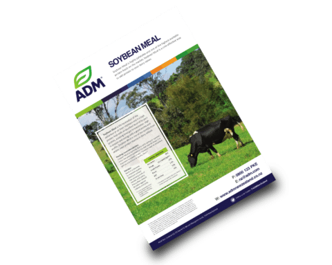 Products - ADM New Zealand Ltd